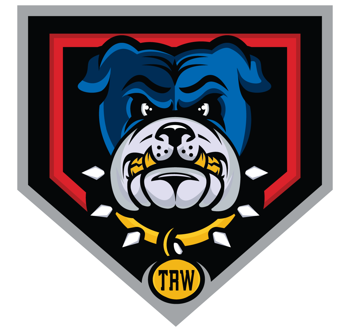 The Right Way Baseball Organization - Perfect Game Baseball Association