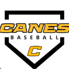 Canes Illinois North 14u Kay - Perfect Game Baseball Association